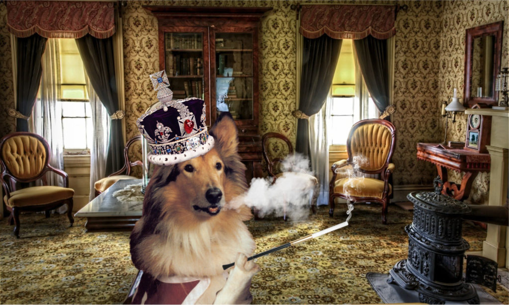 Dog Save the Queen: Reveille Tells All in Never Before Seen Interview ...